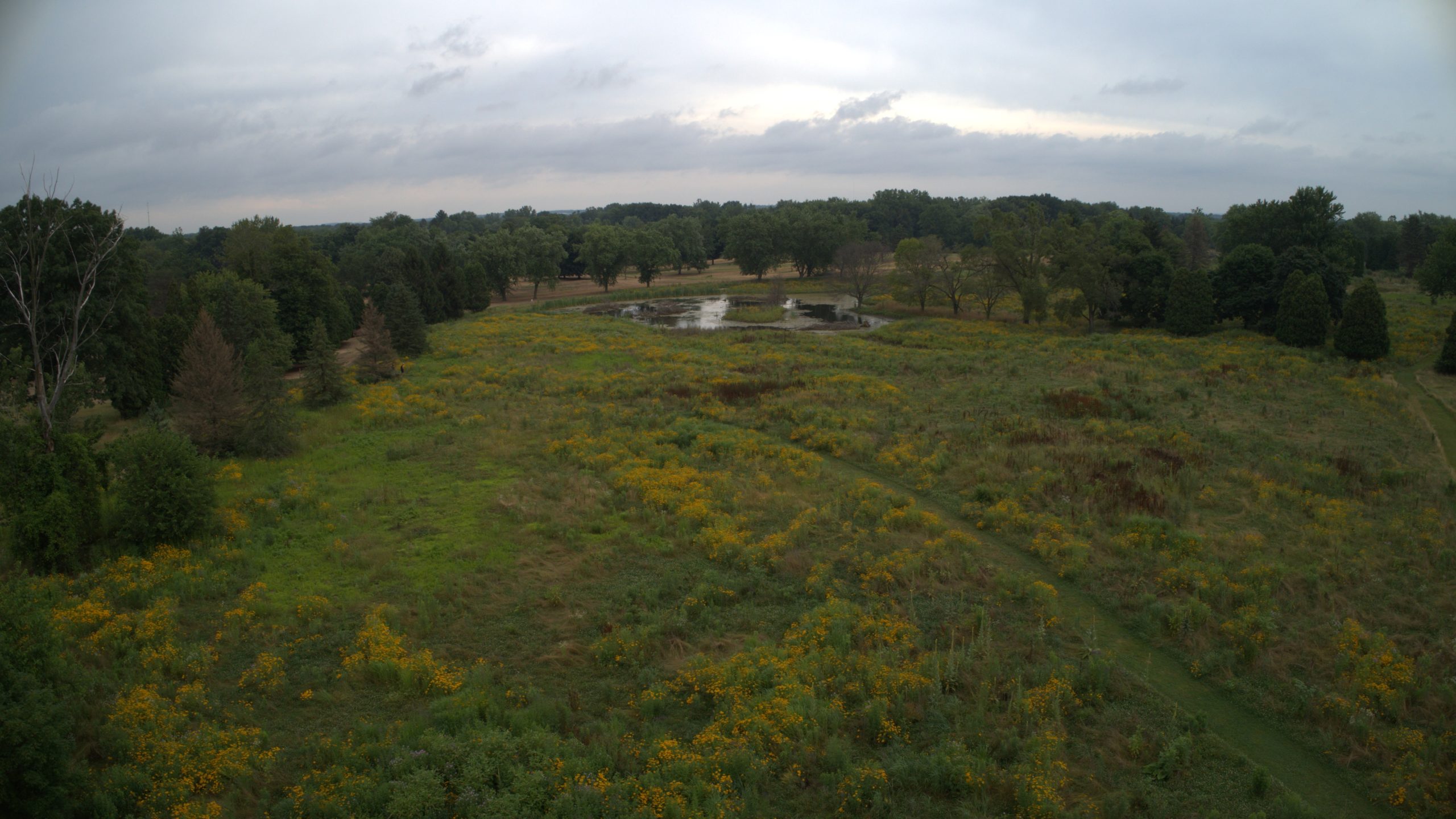Restoration progress at The Highlands – The Highlands